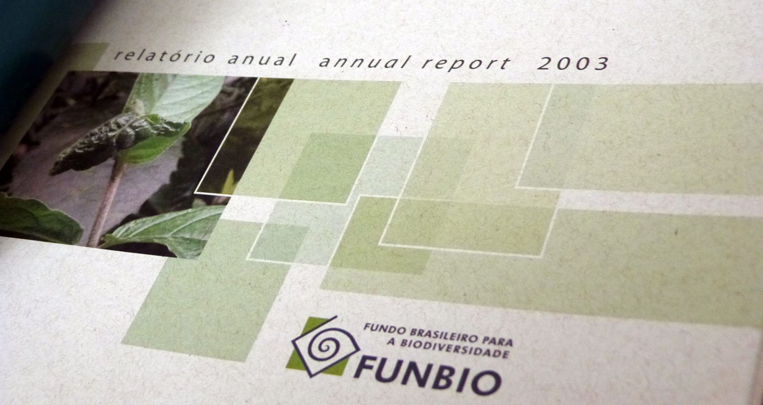 RELATÓRIOS ANUAIS FUNBIO – GIO VAZ